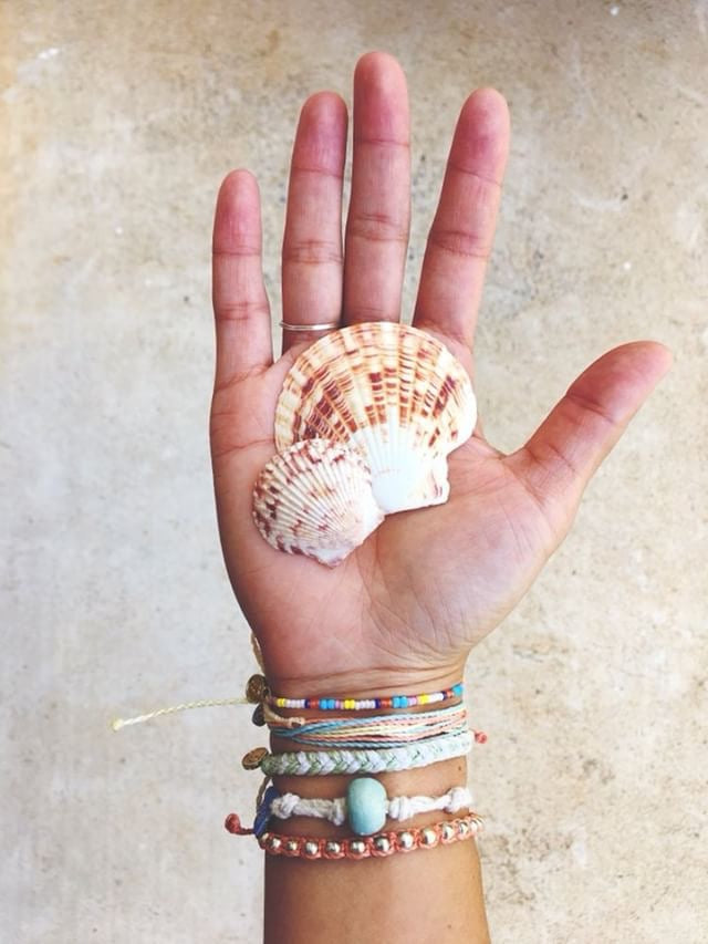 Myrtle Beach, SC – OtterList