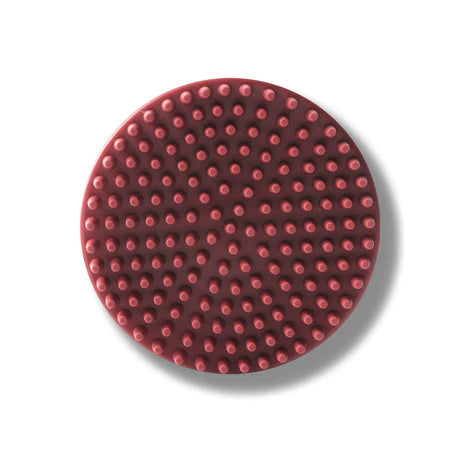 Scalp Massager & Invigorator – OtterList